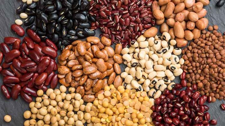 Benefits of personalized dog food - Pawt
